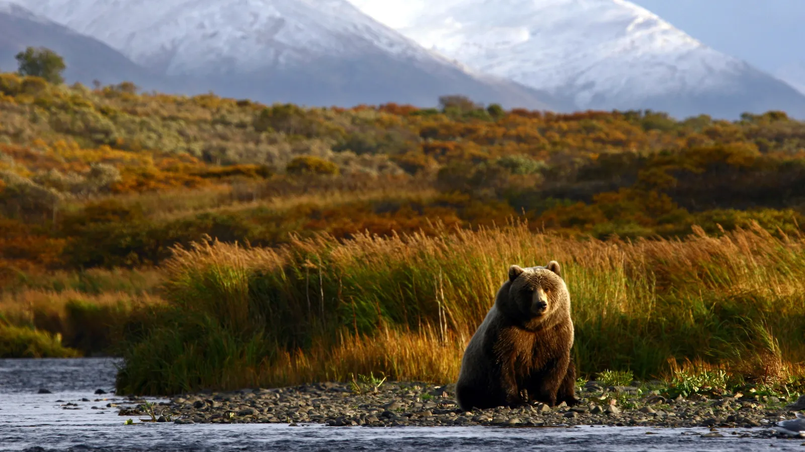 These are the most charming small towns in Alaska