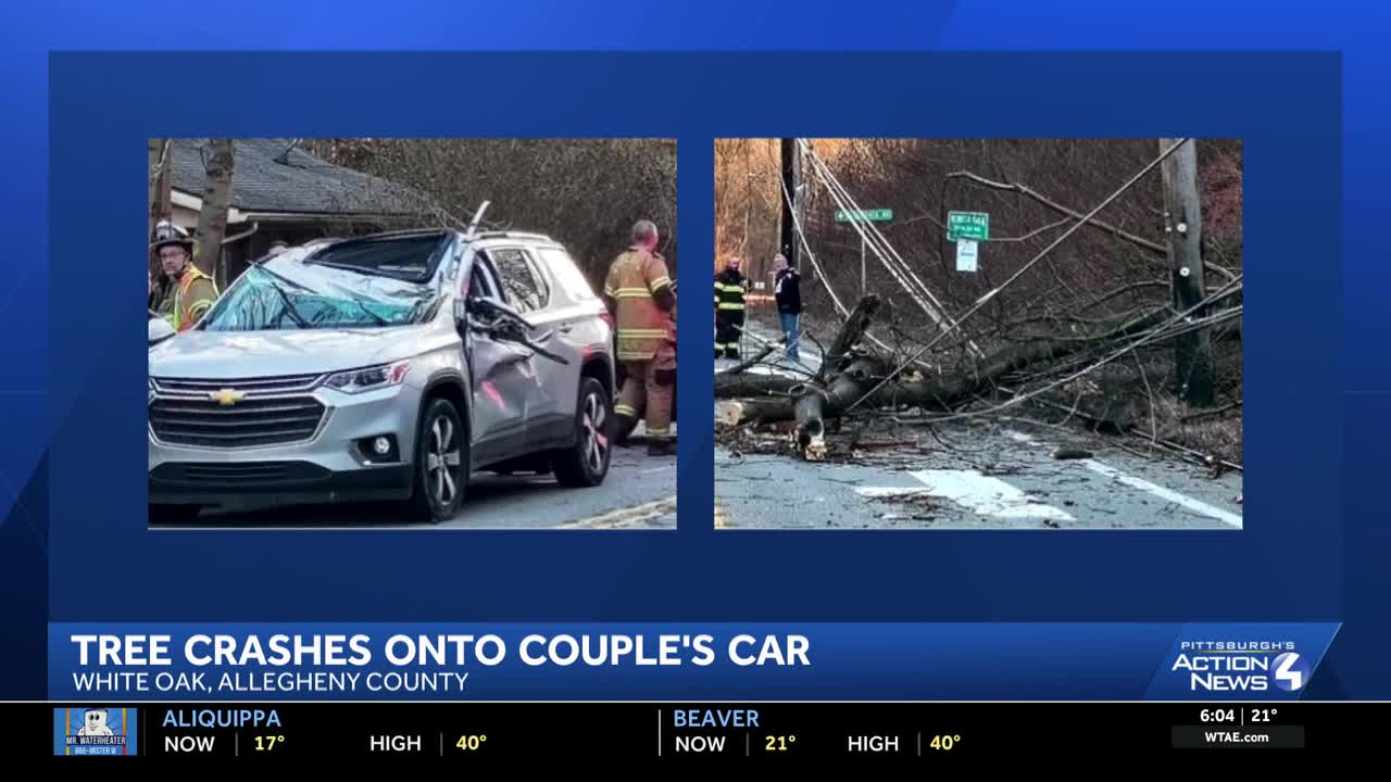 Woman killed after tree crashes onto couple's car in White Oak
