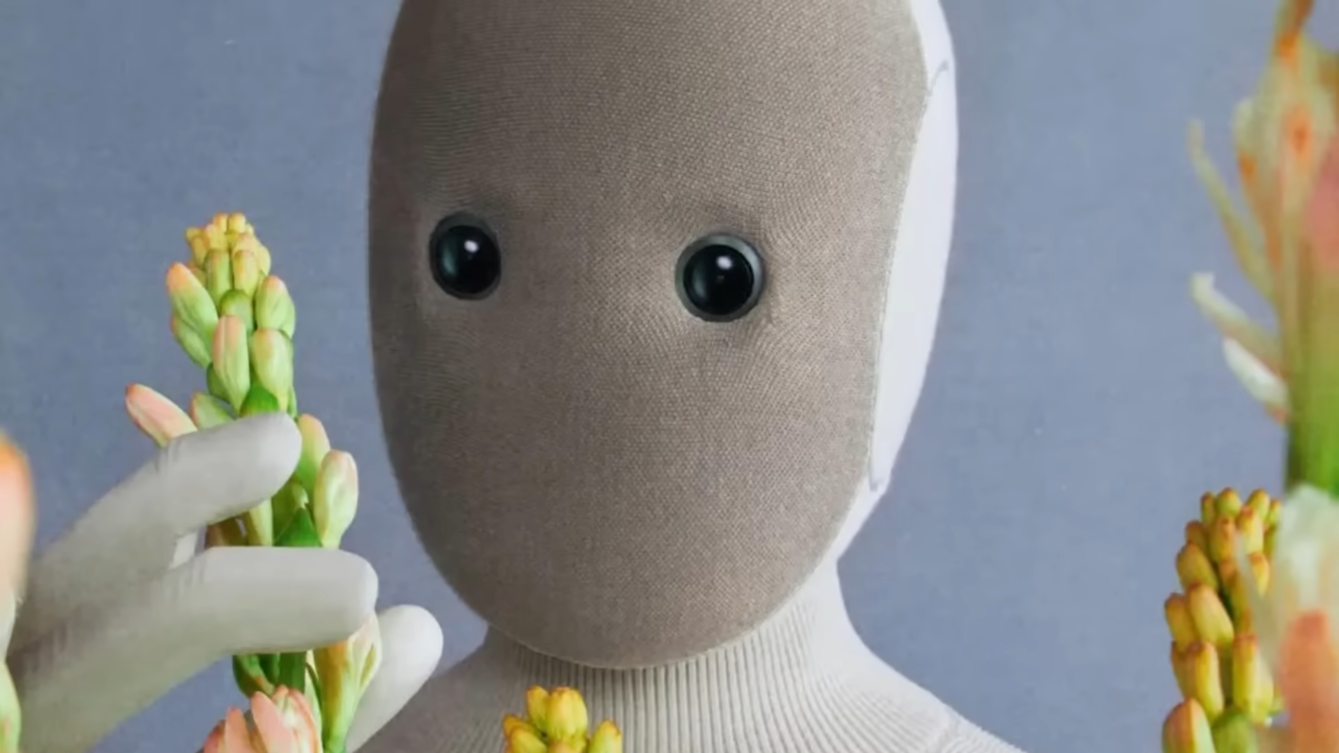 Robots are becoming too human