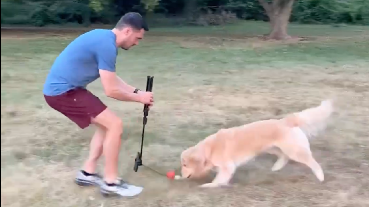 How to film your dog running in slow motion like a pro