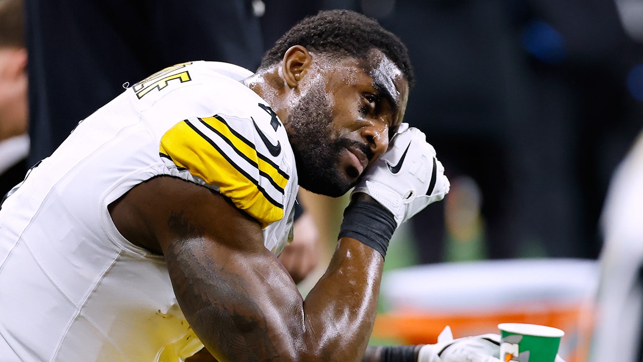 NFL suspends Steelers' DK Metcalf for 2 games after altercation with ...