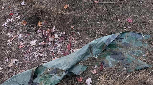 Homeowner warned after sharing photo of major landscaping issue: 'Not a ...