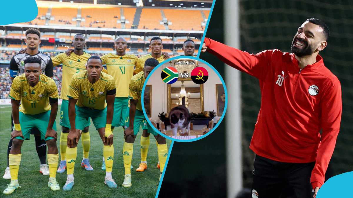 Mysterious cat stirs up AFCON 2025 excitement with bold match ...