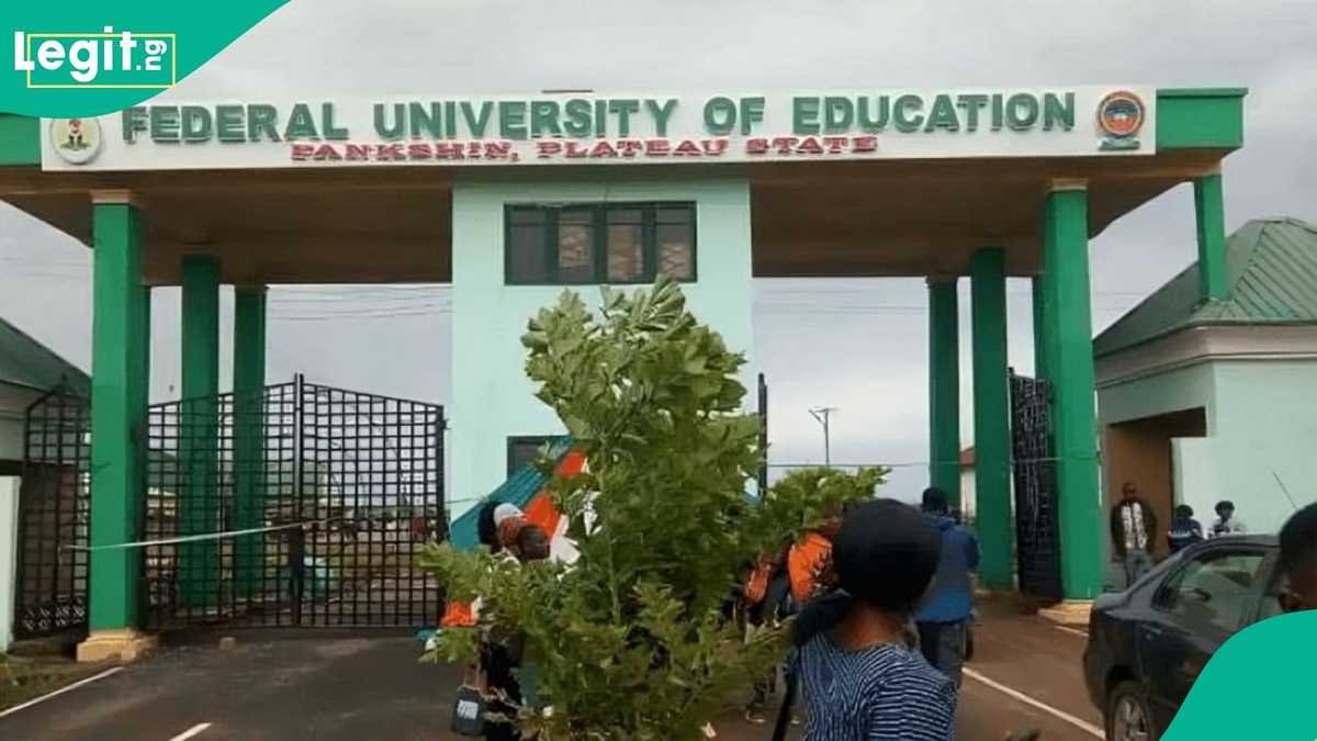 Revealed: Result-forgery syndicate nabbed at top federal varsity