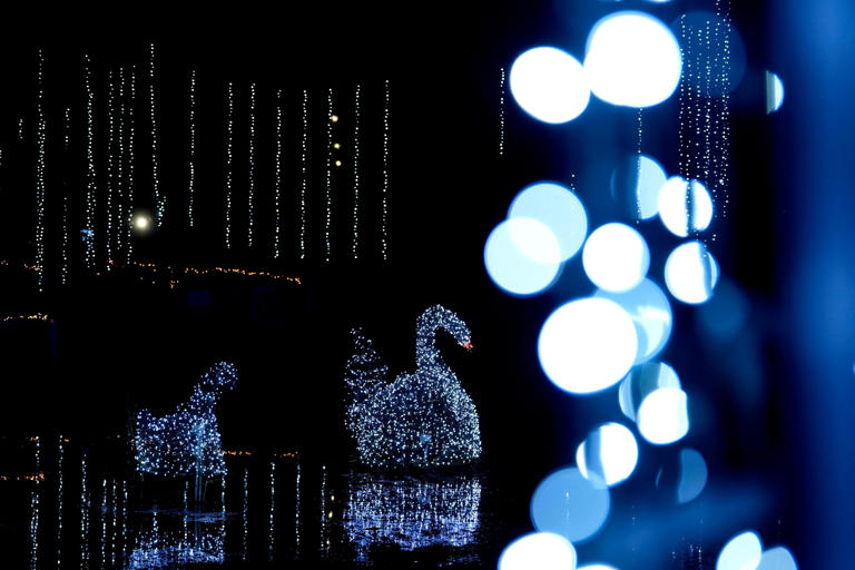 Take a look: Lights of the South open through end of December