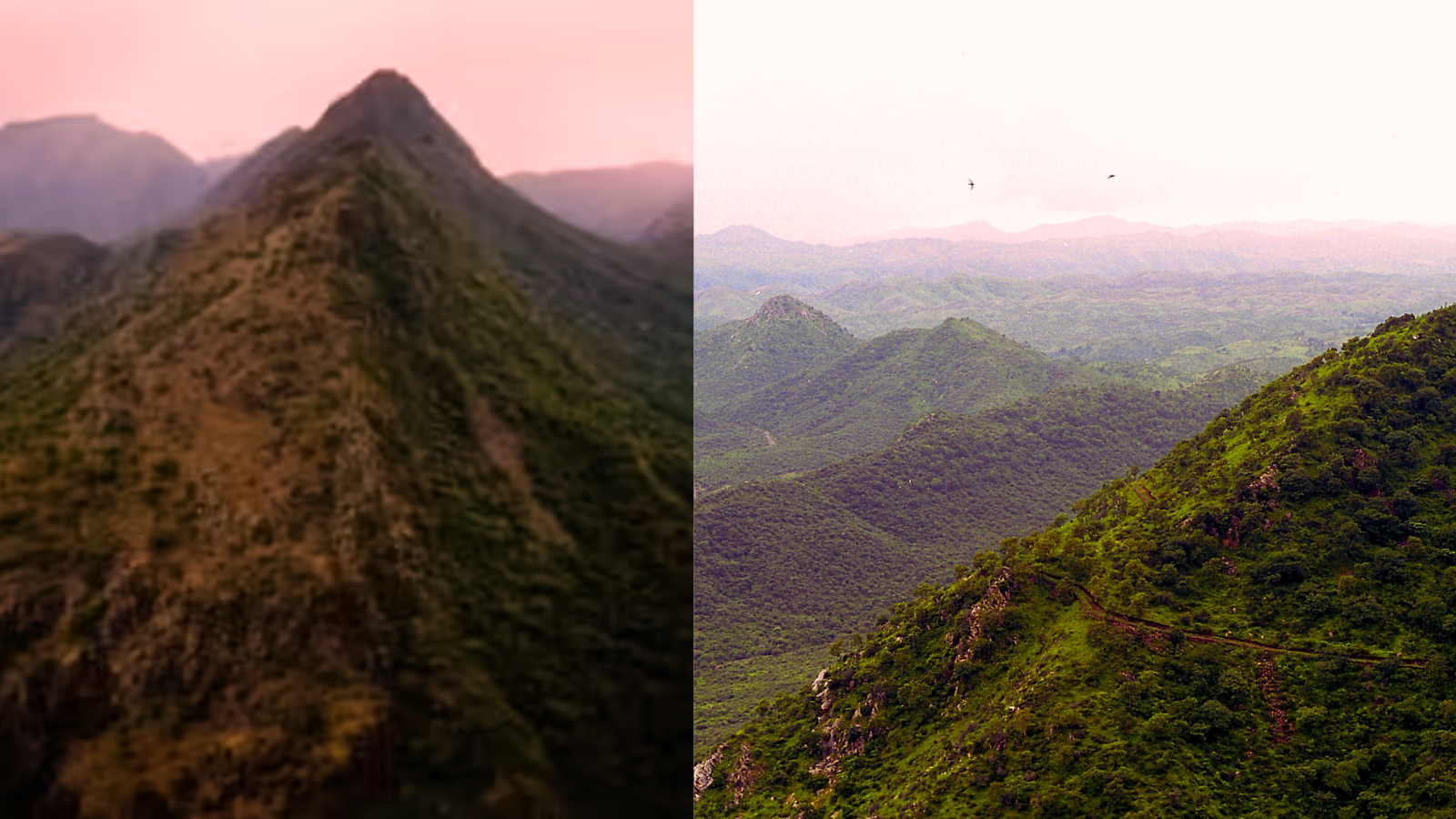 Won't allow tampering with Aravallis, no mining will be permitted ...