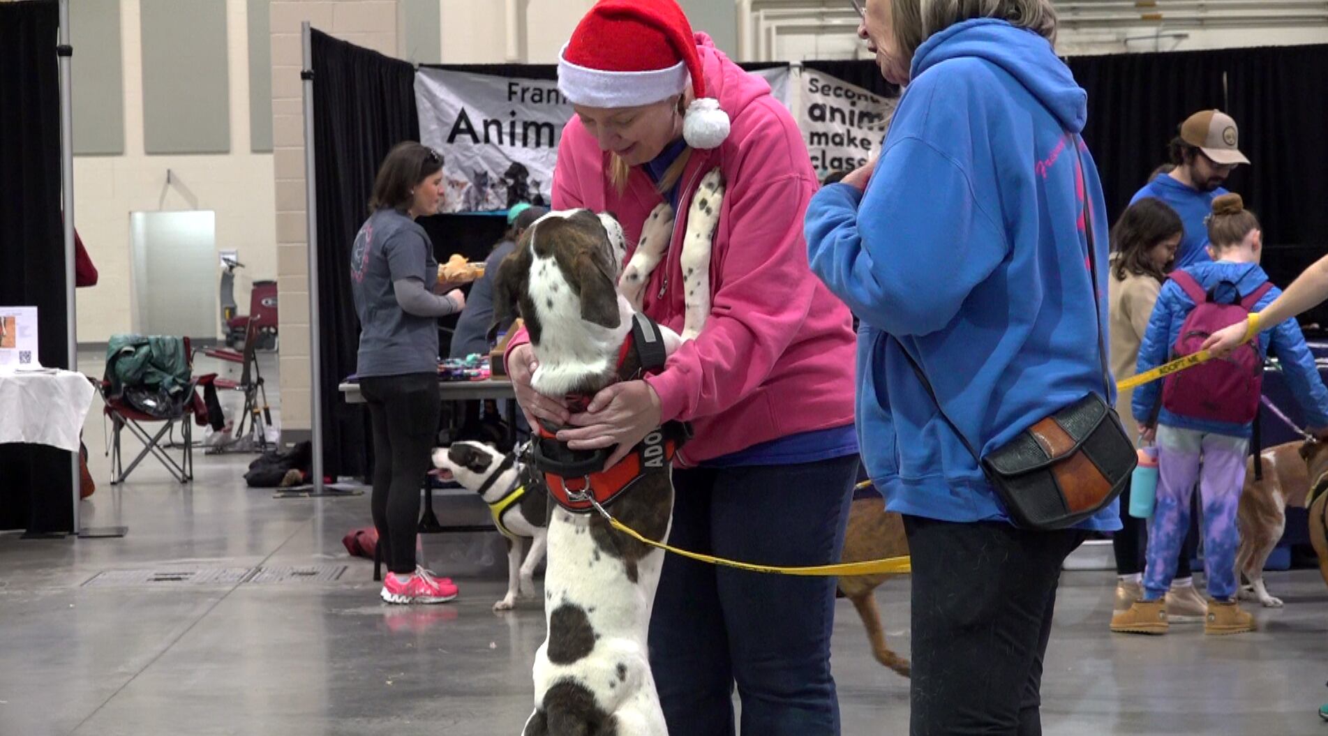 155 animals find homes at Angels of Assisi mega adoption event