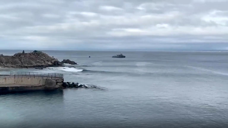 Body discovered after swimmer went missing in possible shark attack in ...