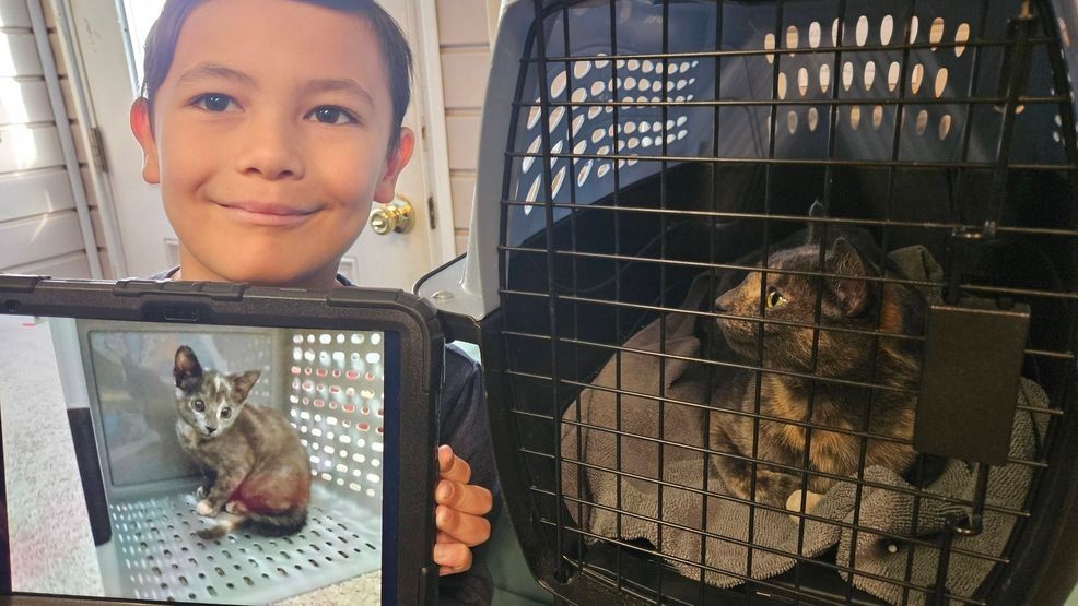 Bertie County Humane Society helps bring Jinx home, a young boy's best ...