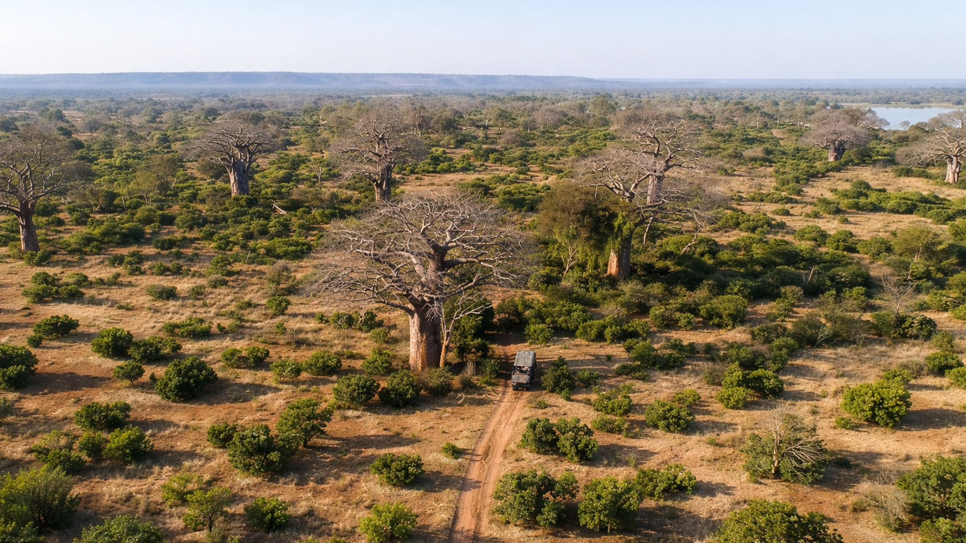 Would you drive here alone?