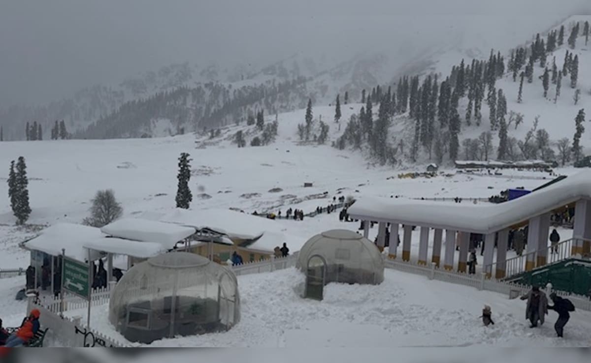 Snow turns Gulmarg into winter wonderland, tourists turn skiers, ride ...