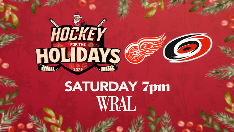 Hockey for the holidays: Red Wings come to town, play Hurricanes ...