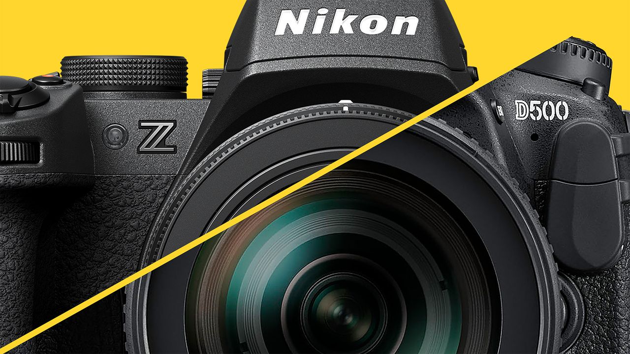 Nikon Z90 is rumored to be under development, here’s why I'm really ...