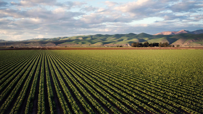 California city pushed to extend $500 monthly cash checks