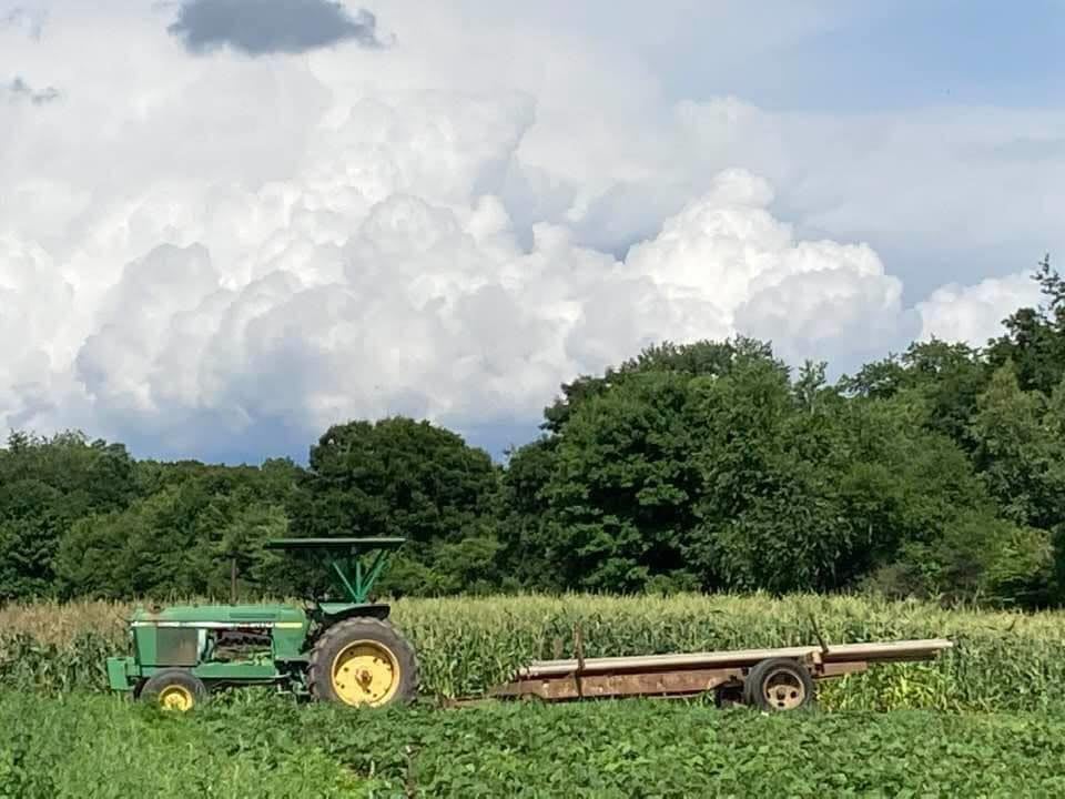 ‘Incredibly painful’: Beloved Mass. farm closing its doors after more ...