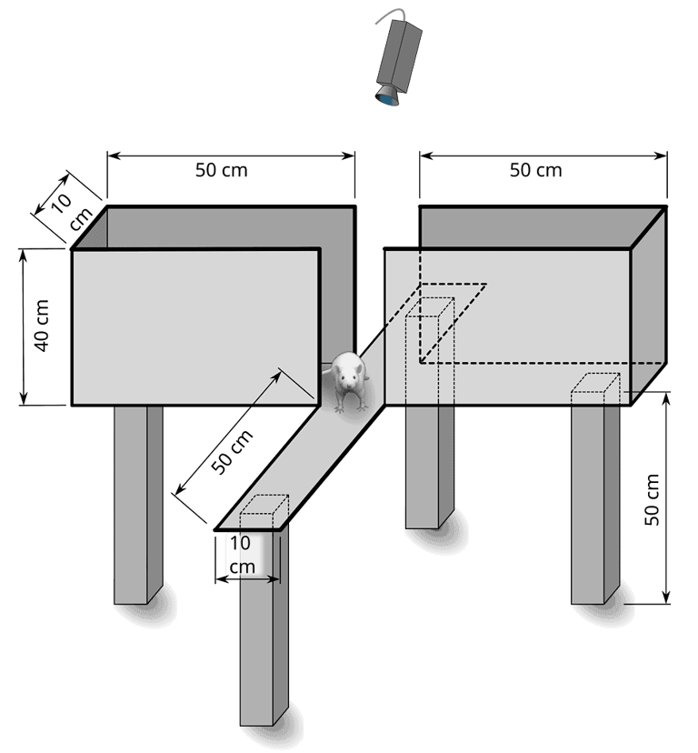 Researchers let lab mice touch grass for the first time in their lives ...