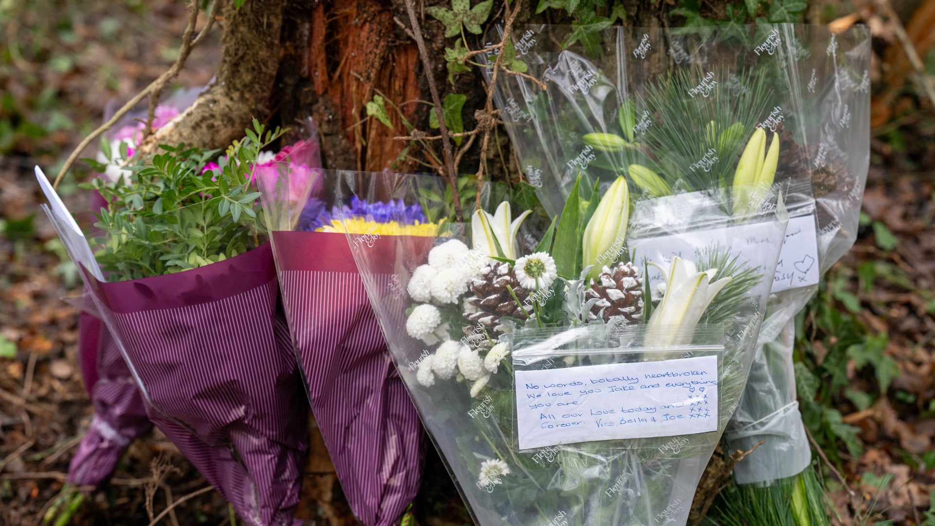 Tesla crash leaves two teens dead and third fighting for his life