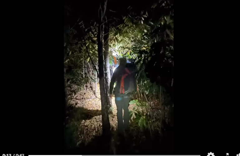 Injured hiker found in remote area after tumble down cliff in dark, NC ...