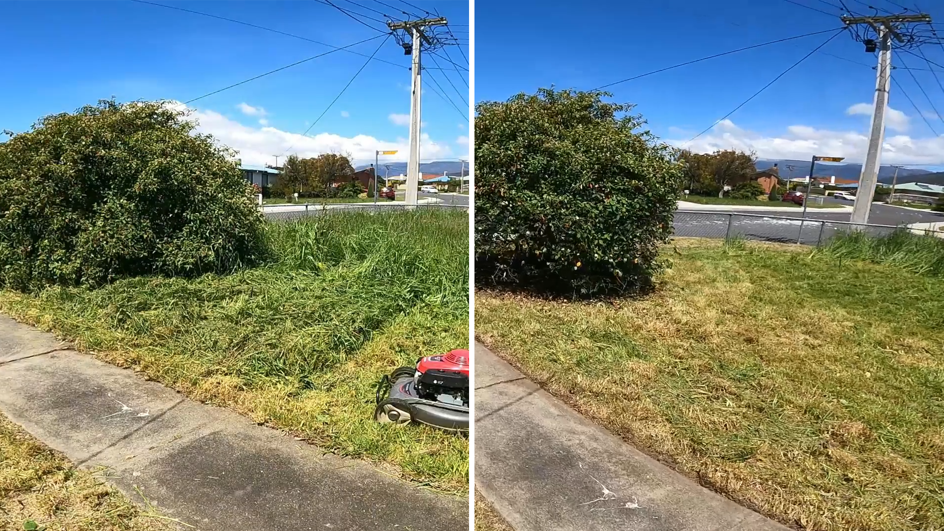 I transformed this overgrown yard!