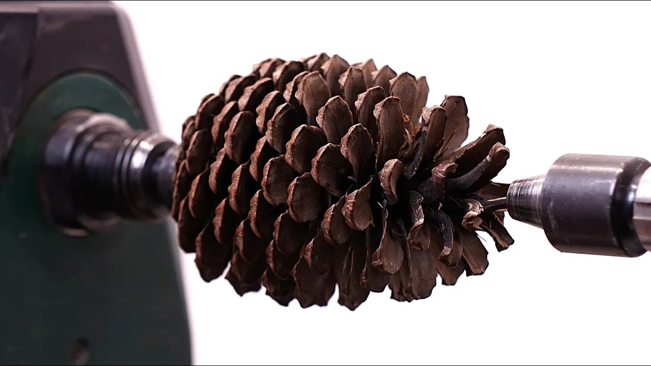 Watch how pine cone becomes a mini Christmas tree