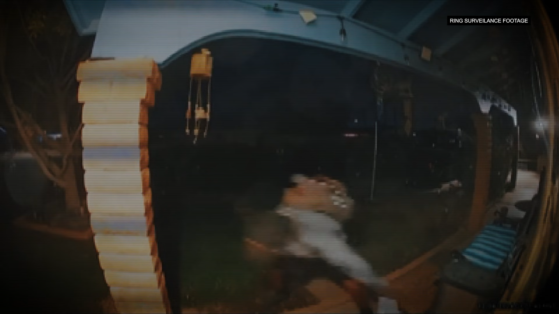 A Christmas theft caught on camera