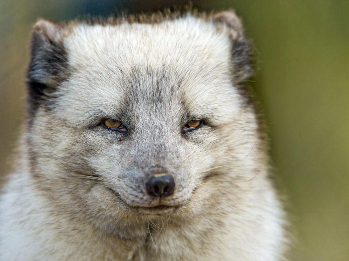 People are sharing facts that blew their minds and here are 26 of the ...
