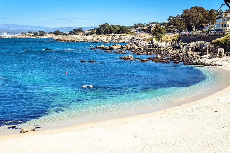 During group swim, witness spots shark carrying a body