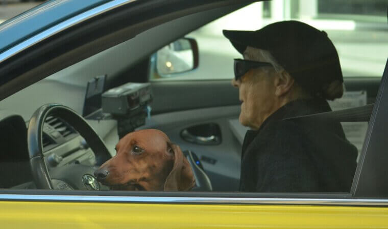 Driving rules older drivers get wrong more than they realize