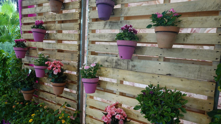 DIY projects that'll add extra privacy to your backyard