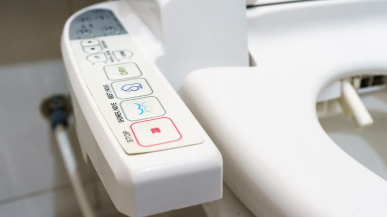 4 types of bidet attachments for the toilet in your bathroom (& which ...
