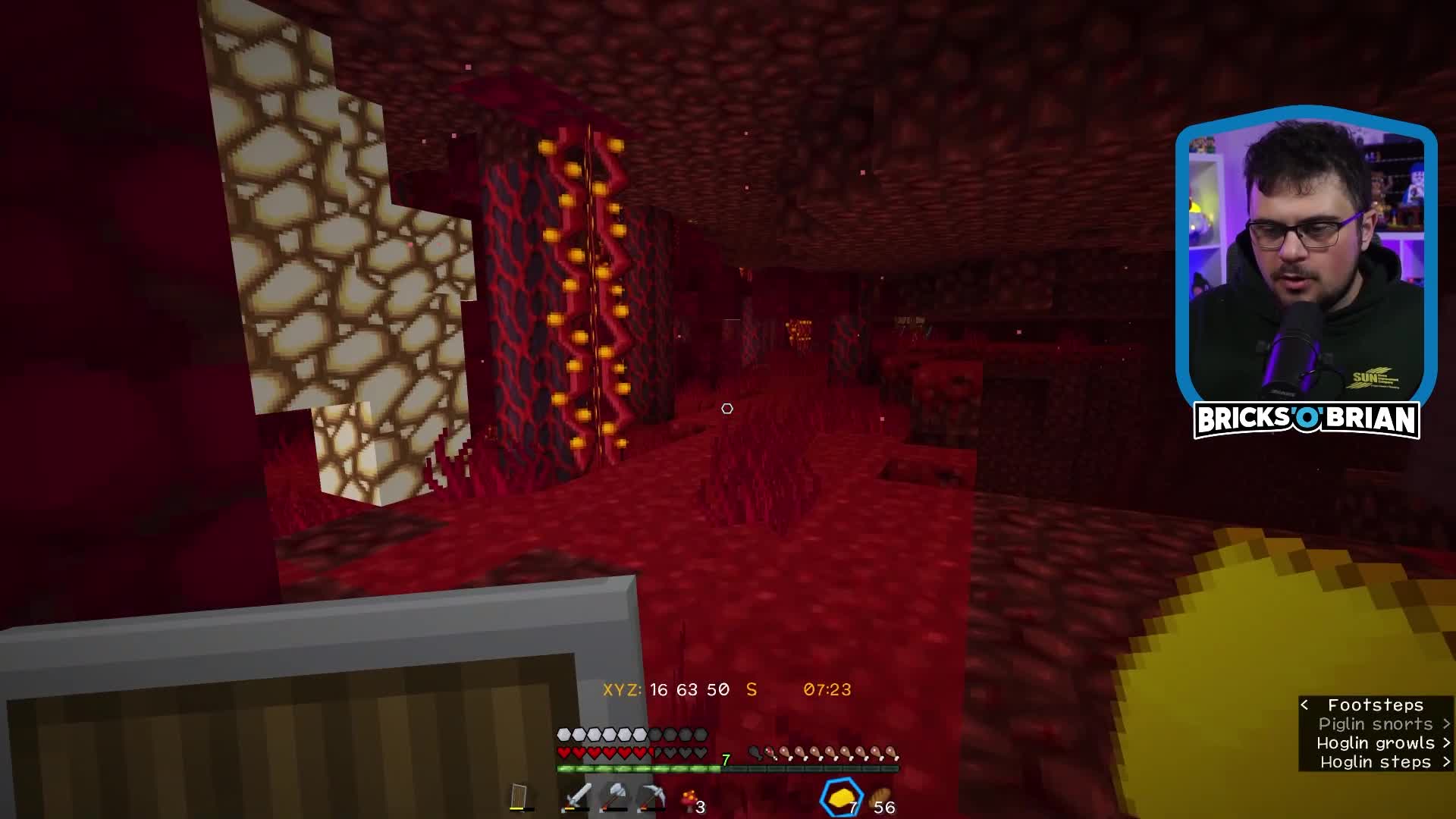 Harmful hoggies! - THE VAULT