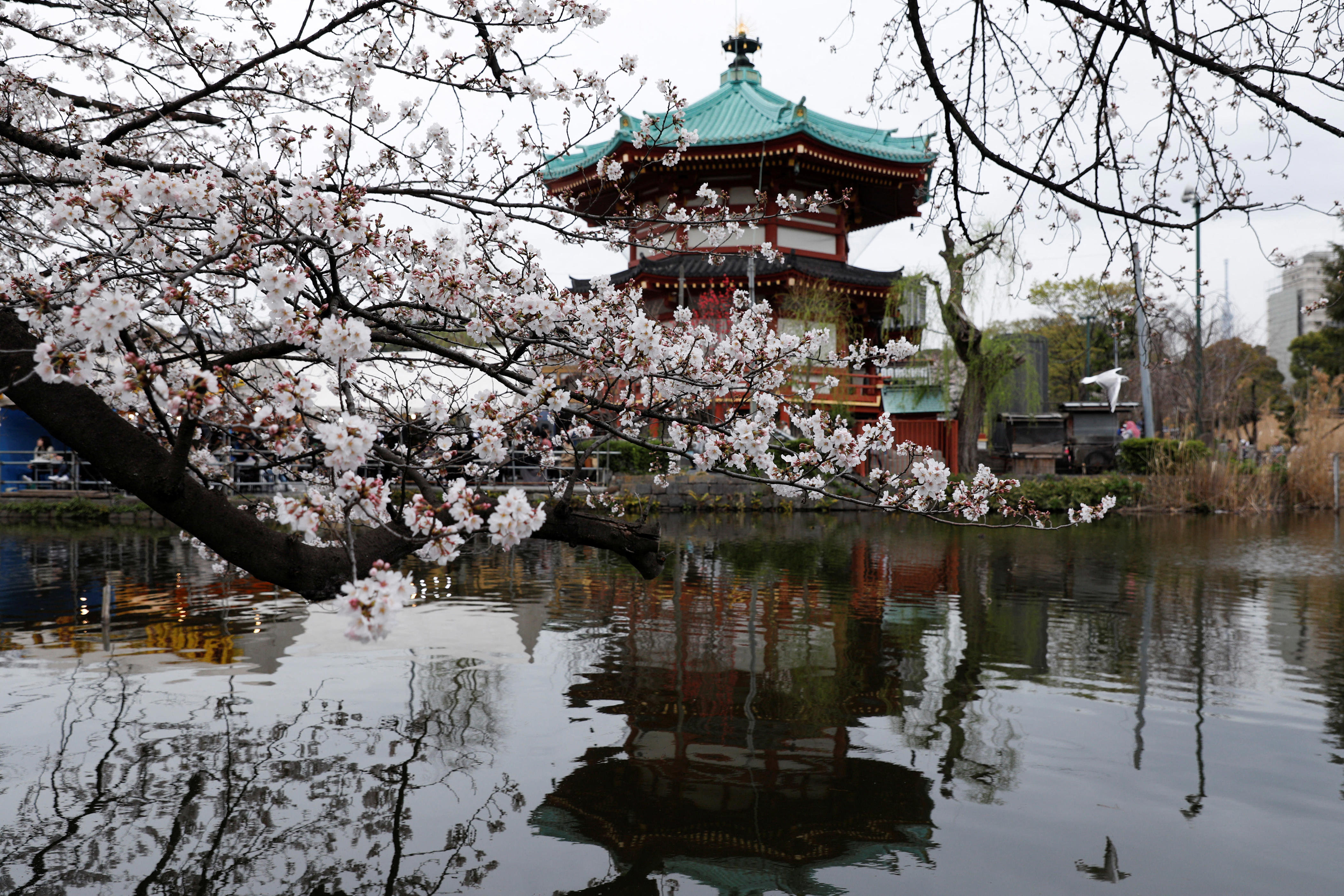 Israeli tourism to Japan jumps sharply as yen weakens