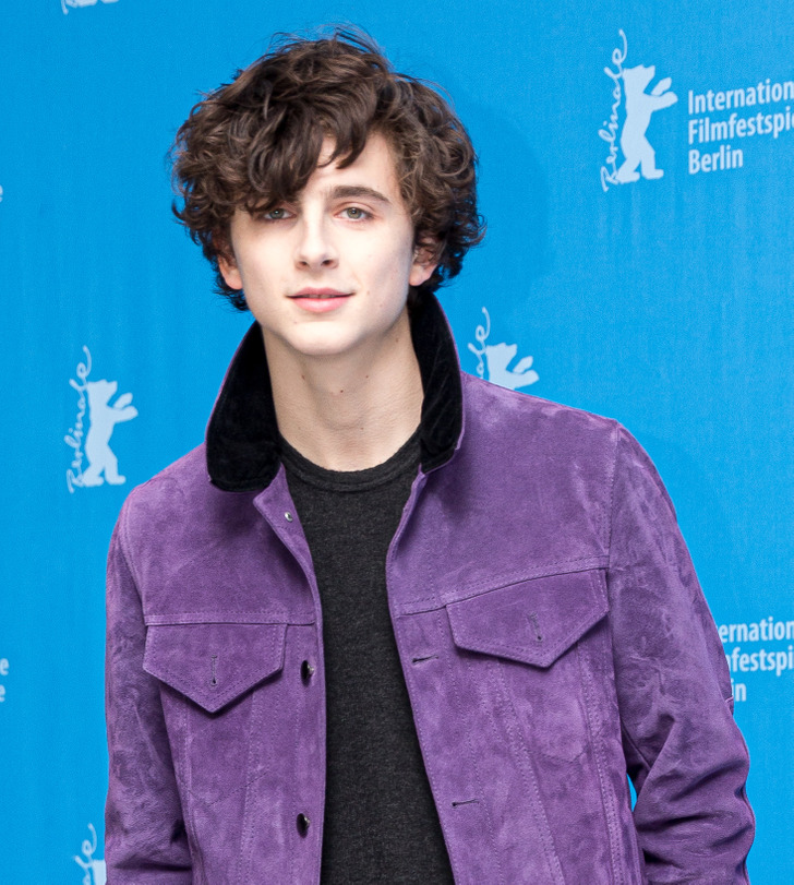 “The Crush Is Over,” Timothée Chalamet’s Dramatic New Look Harshly ...
