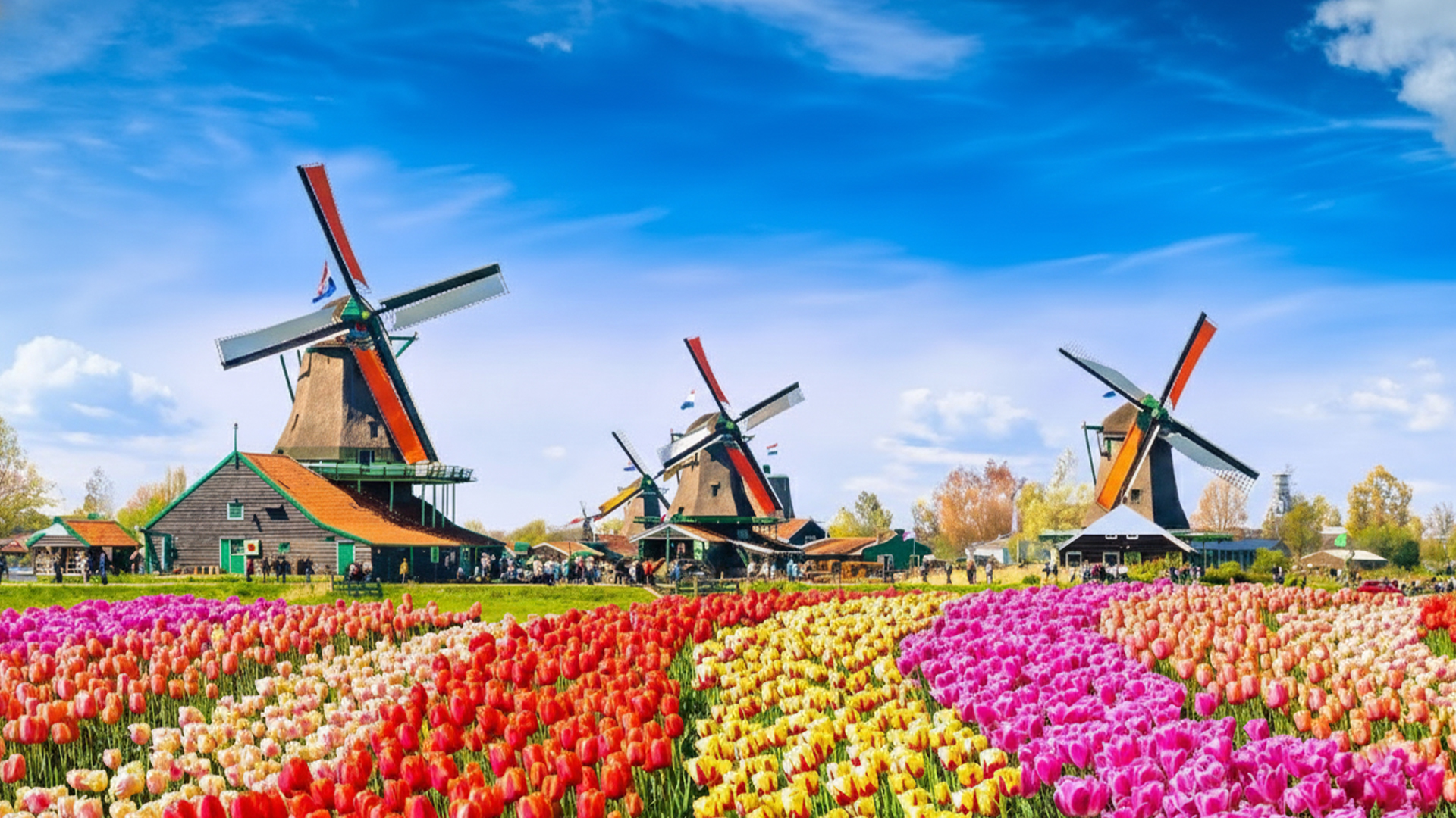 Exploring the Netherlands' top locations