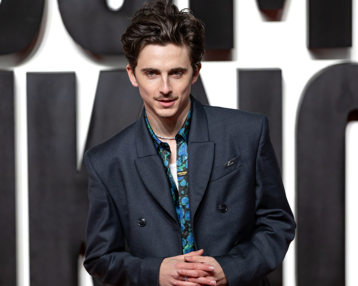 “The Crush Is Over,” Timothée Chalamet’s Dramatic New Look Harshly ...