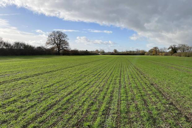 'Substantial' land plots near Tadcaster go on the market