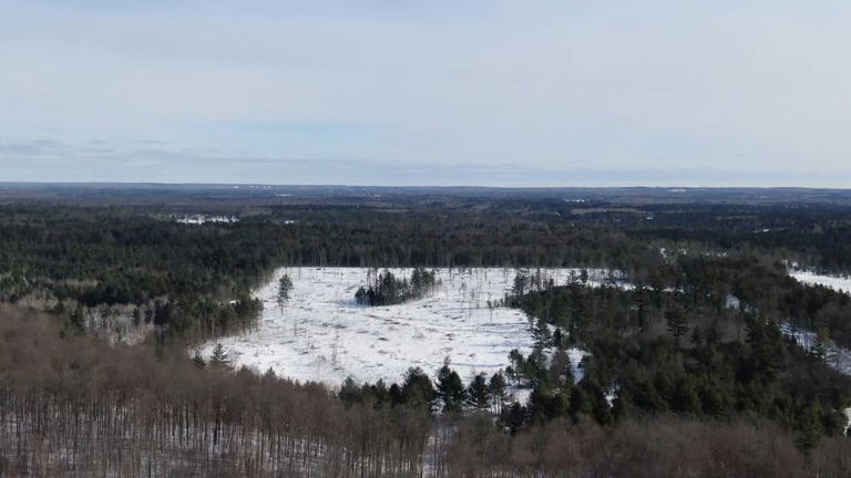 Mild temperatures midweek; brief sunshine possible in northern Michigan ...