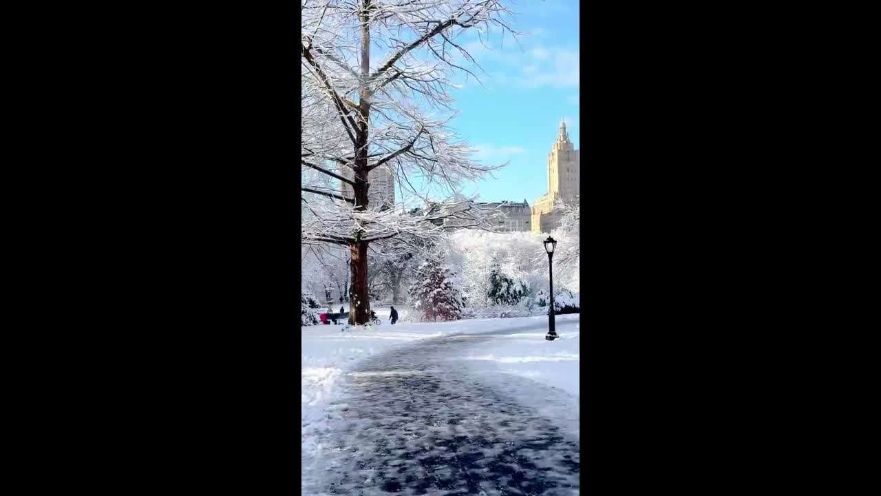 Light snow covers Central Park during calm winter morning in Manhattan, USA