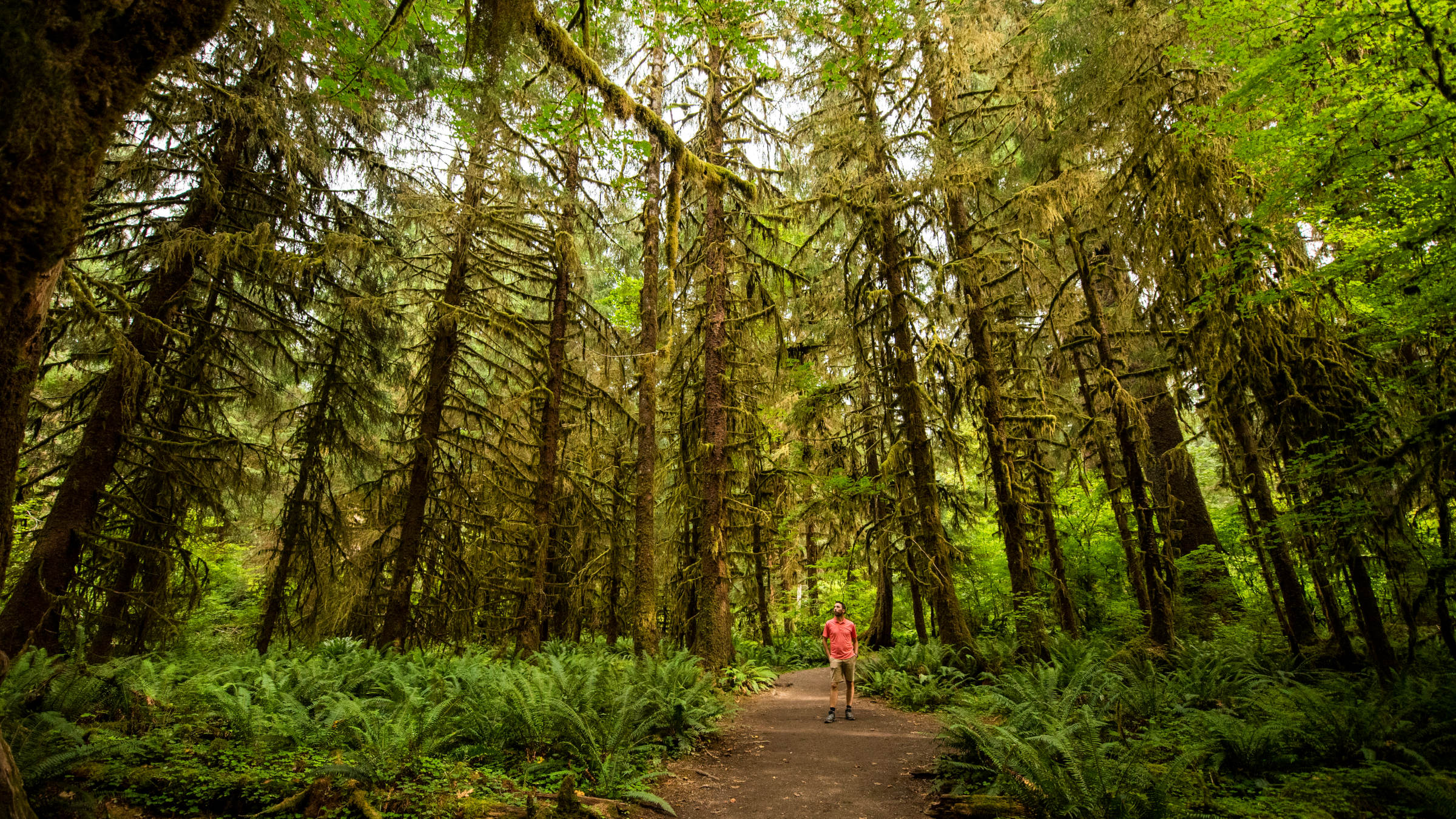 The 10 biggest hiking news stories of 2025