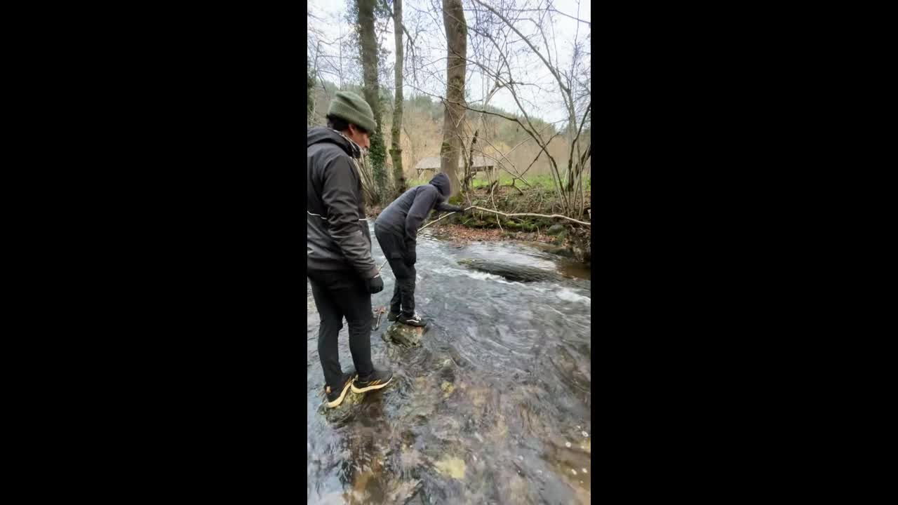 Friend slips into a shallow river while crossing on a tree trunk in ...