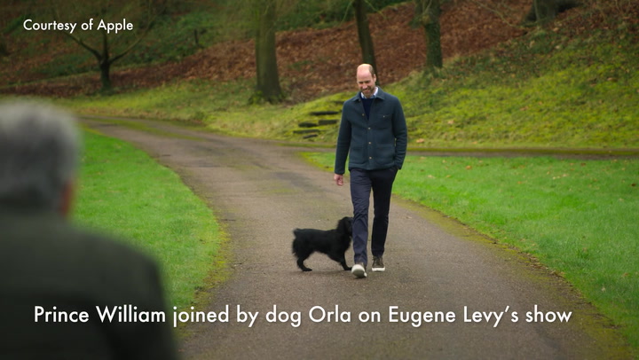 Watch: Prince William joined by dog Orla in video