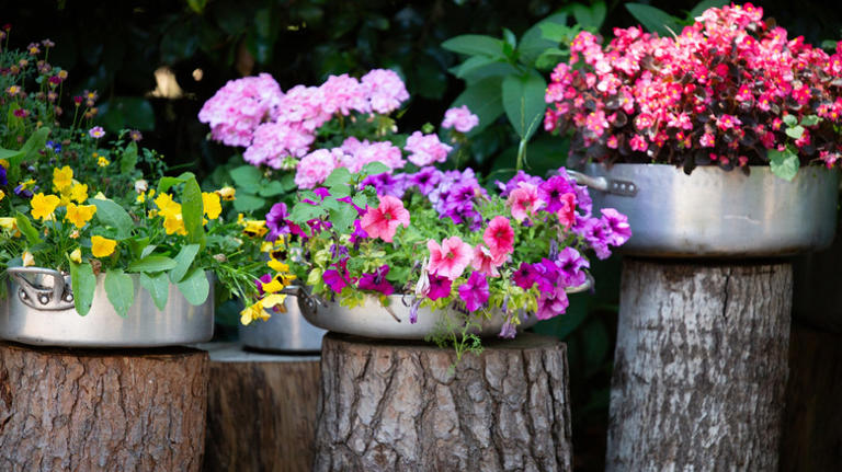 Martha Stewart's creative plant riser hack repurposes a common backyard ...