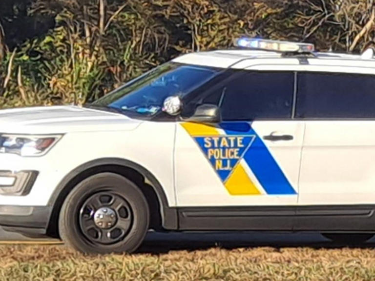 Man, 20, killed, passenger seriously injured in parkway crash in Ocean ...