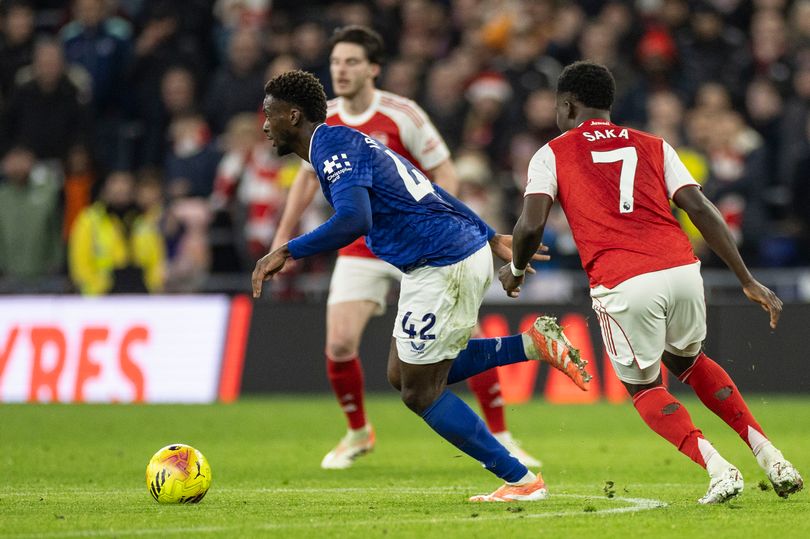 Thierno Barry and Beto can't escape unhelpful comparison as one Everton ...