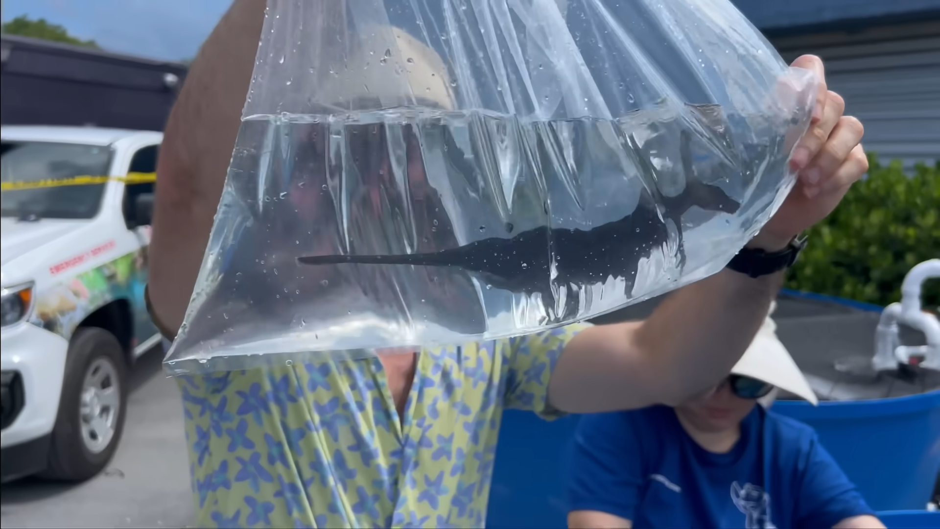 This man bought the rarest prehistoric aquarium fish in the world