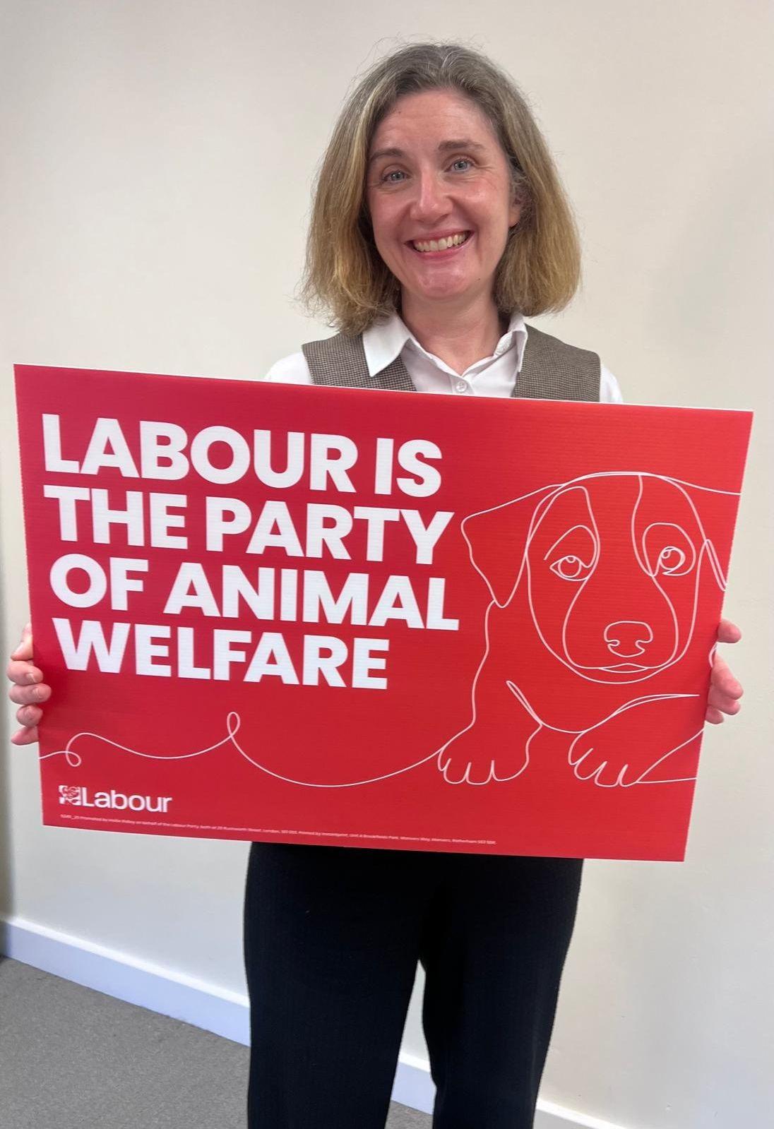 Political opinion: Beccy Cooper MP – Strengthening animal welfare