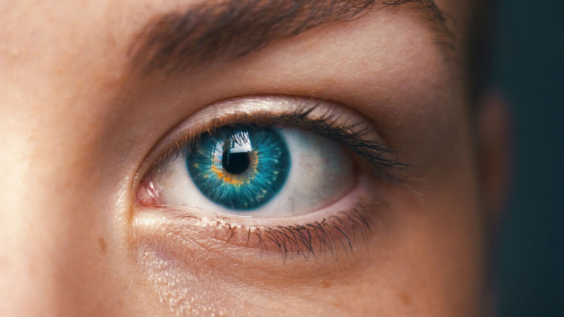 There’s a feature of our eyes that no other animal has—and evolution ...