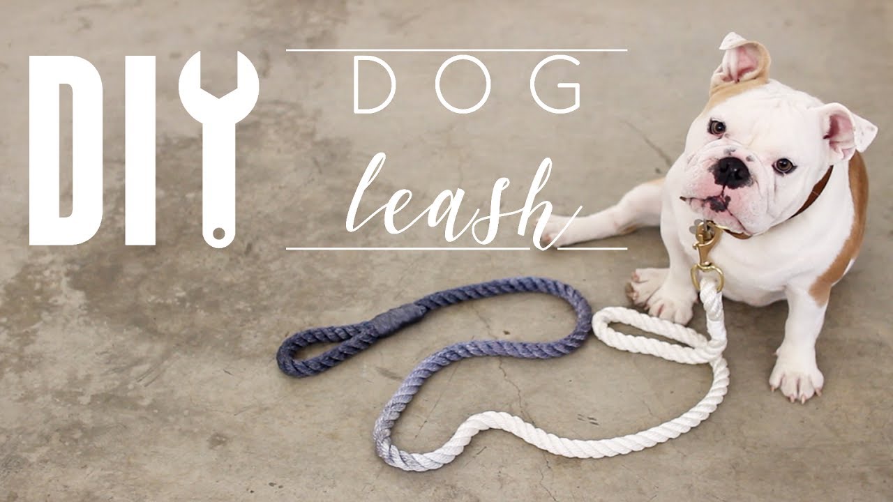 The strongest DIY dog leash (easy tutorial)