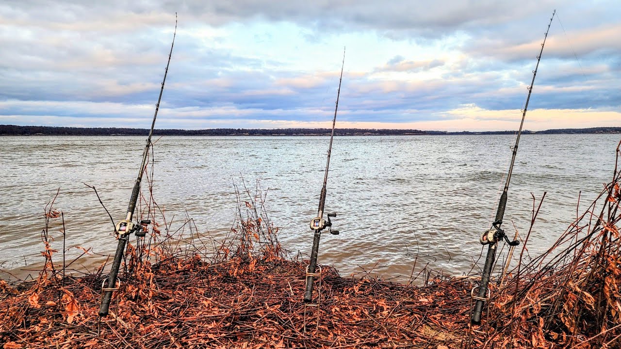 When the cold front hits, catch more!