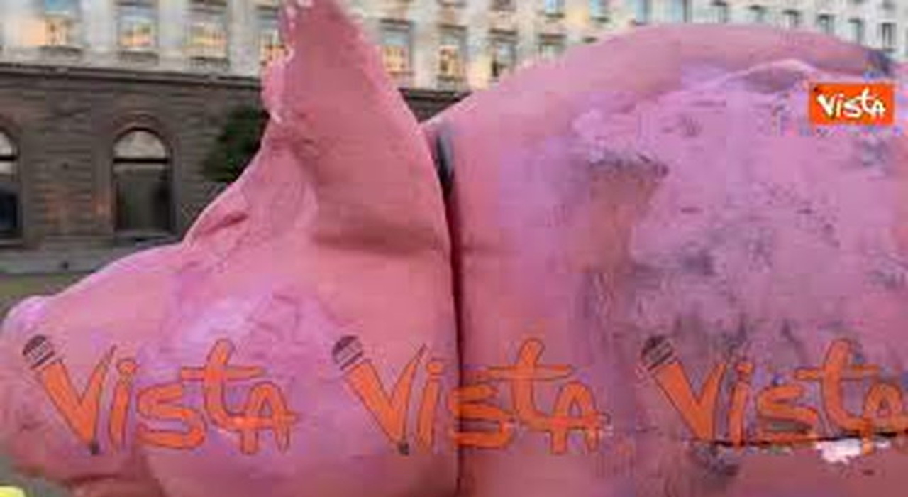 Un enorme maiale al centro di Sofia dopo le proteste che hanno portato ...